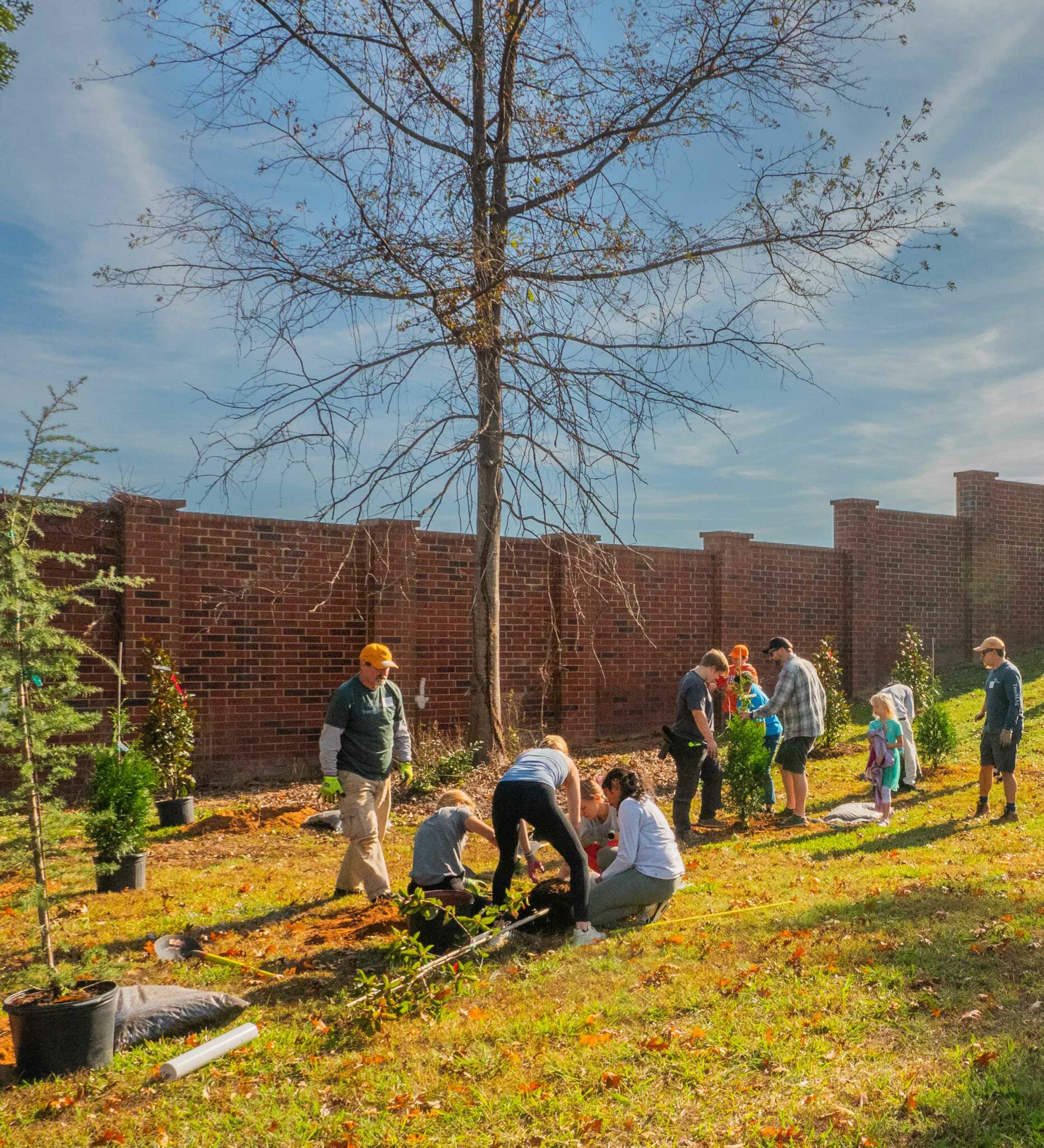 TreesCharlotte | Tree Canopy Conservation | Charlotte NC Nonprofit