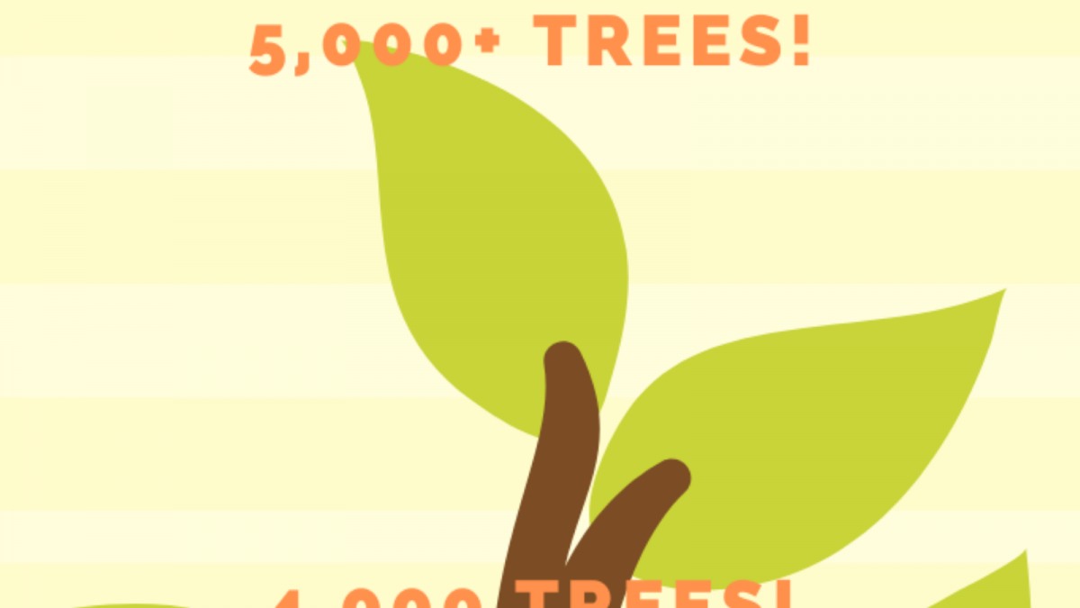 The 2020-21 Tree Counter - TreesCharlotte