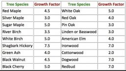 Tree Age Equation - TreesCharlotte