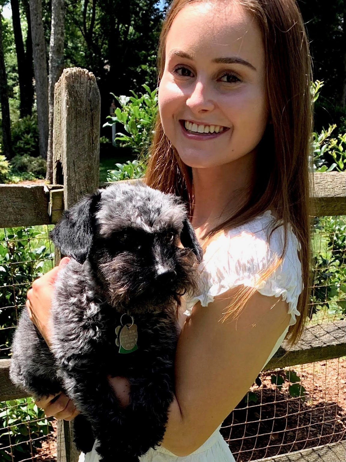 The Bees’ Needs for Trees - TreesCharlotte