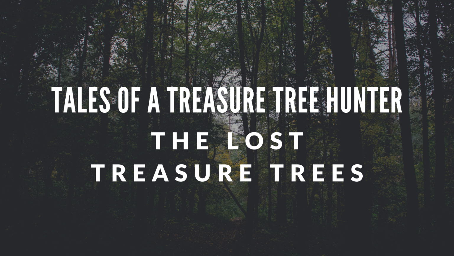 The "Lost" Treasure Trees - TreesCharlotte