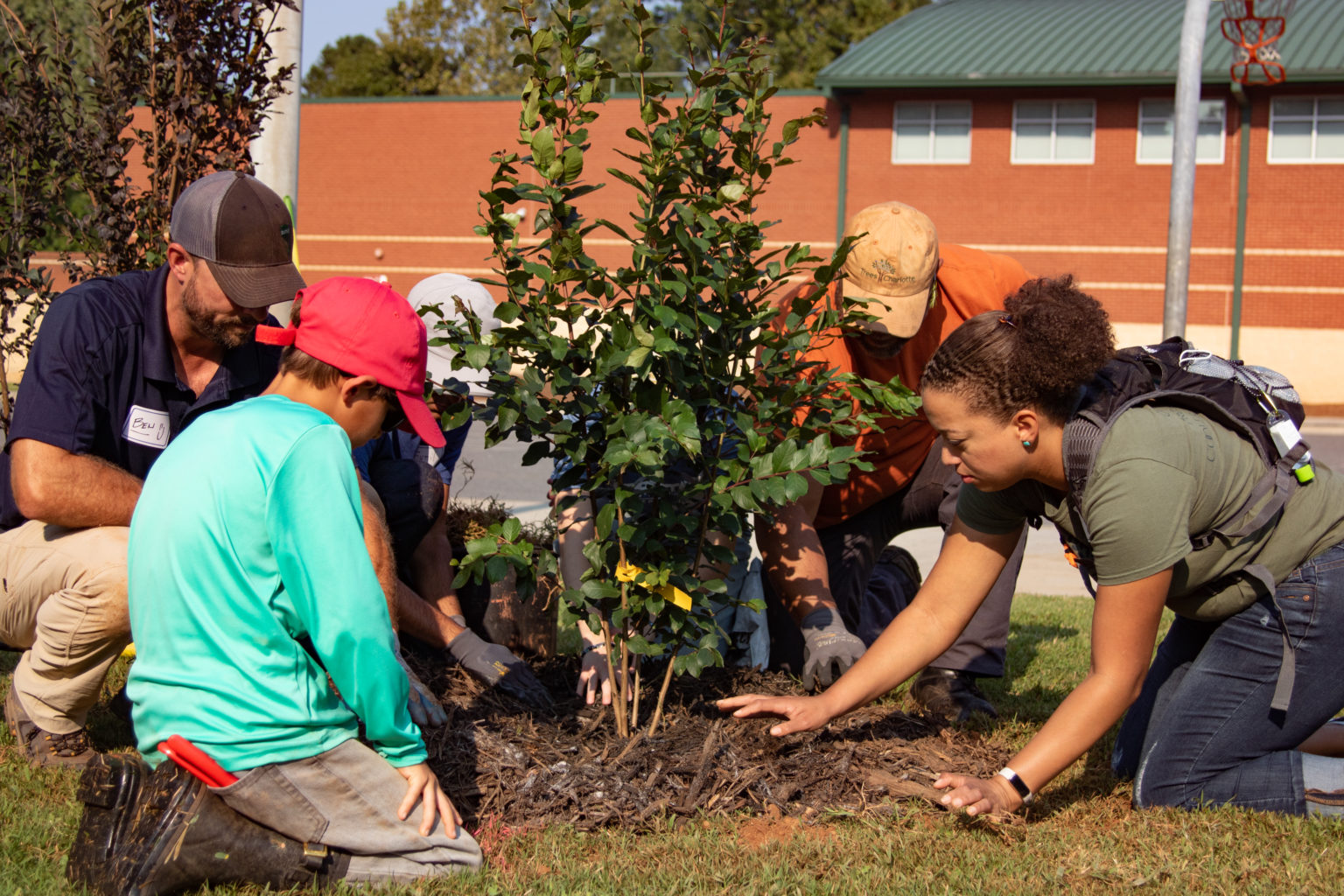 TreesCharlotte | Free Trees for Your Charlotte Neighborhood