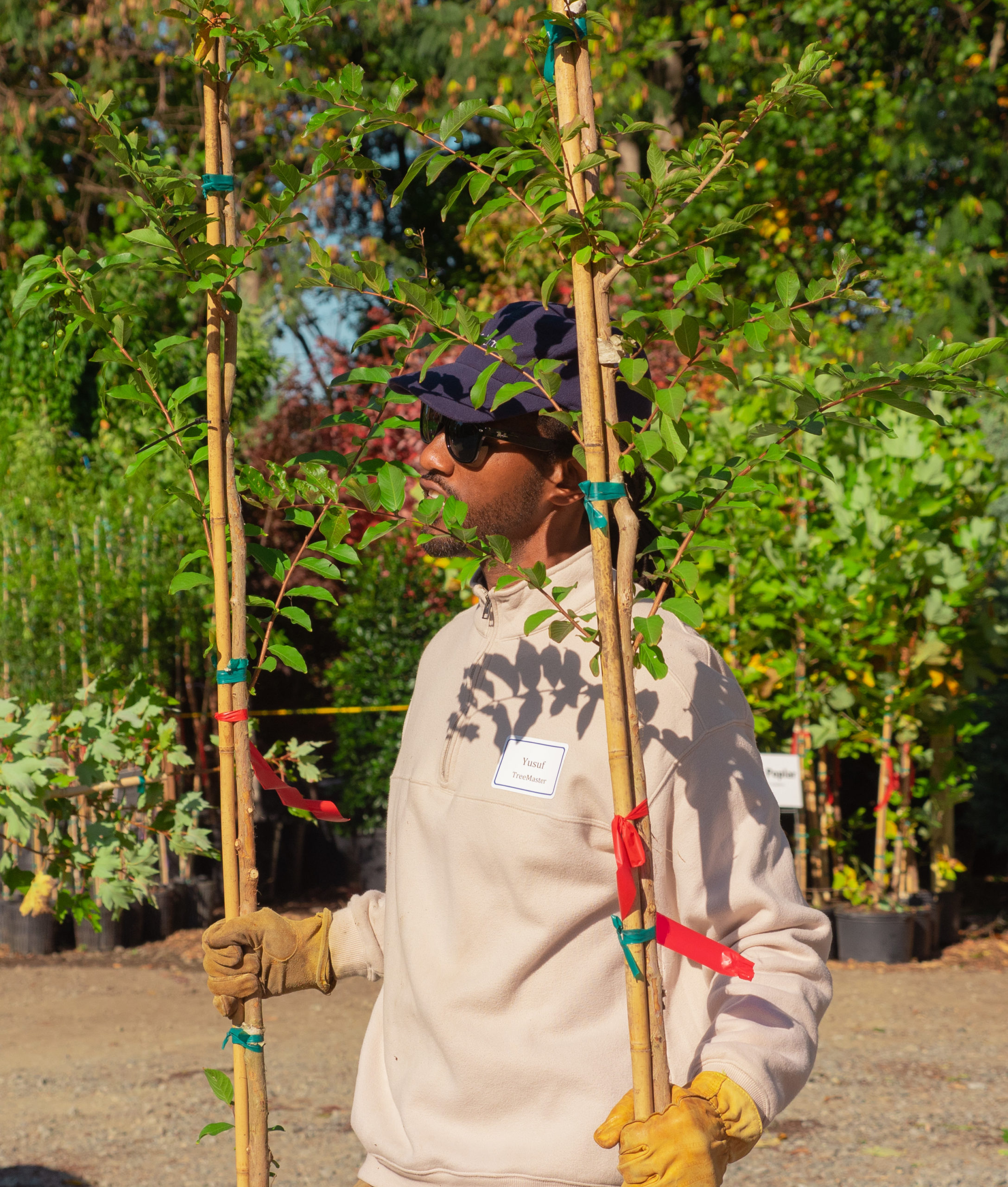 TreesCharlotte | Tree Canopy Conservation | Charlotte NC Nonprofit