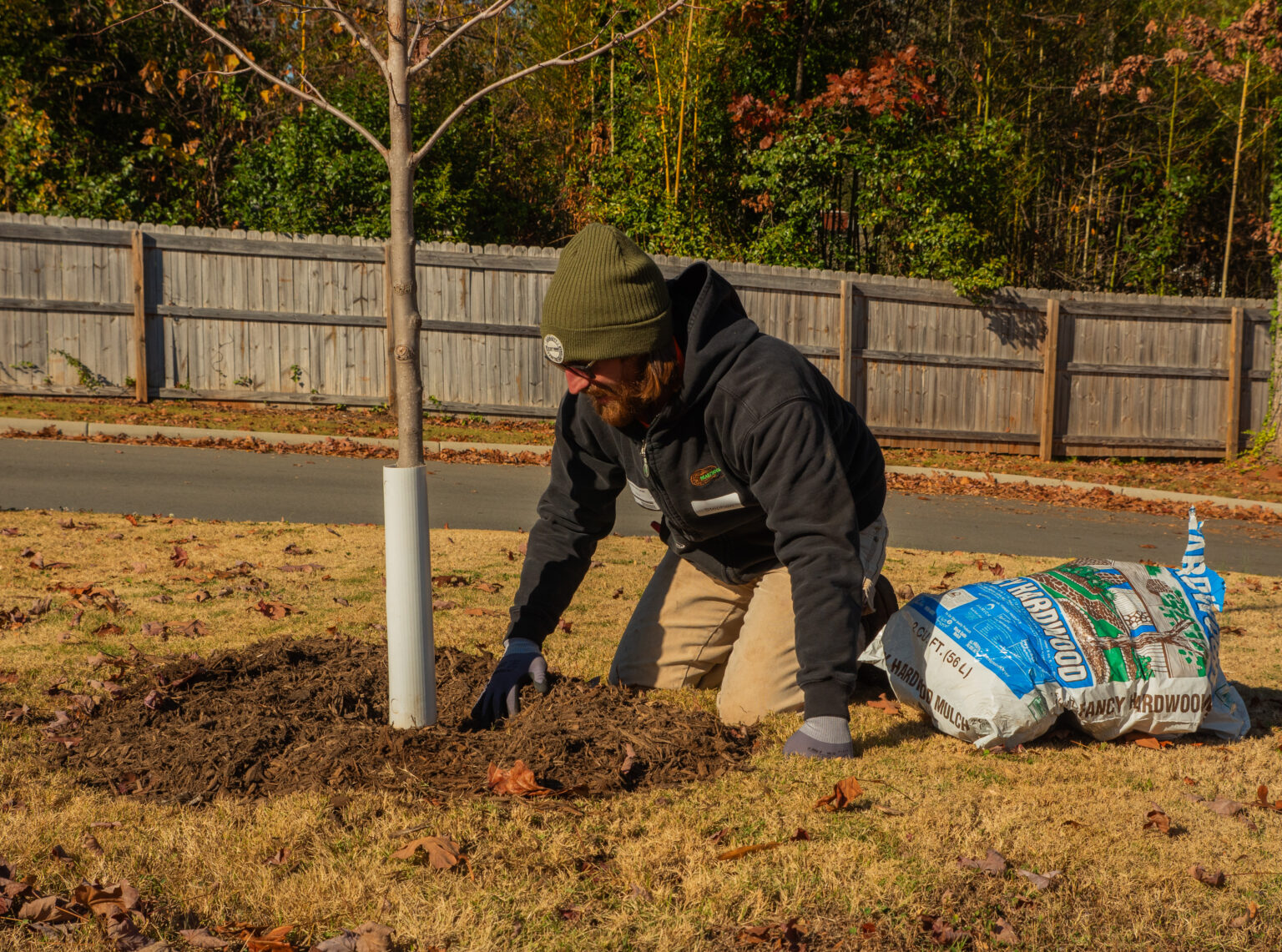 How to Properly Mulch Your Tree - TreesCharlotte