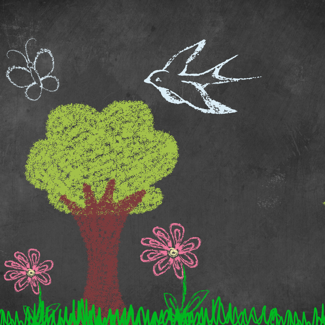 TreesCharlotte | Tree Canopy Conservation | Charlotte NC Nonprofit