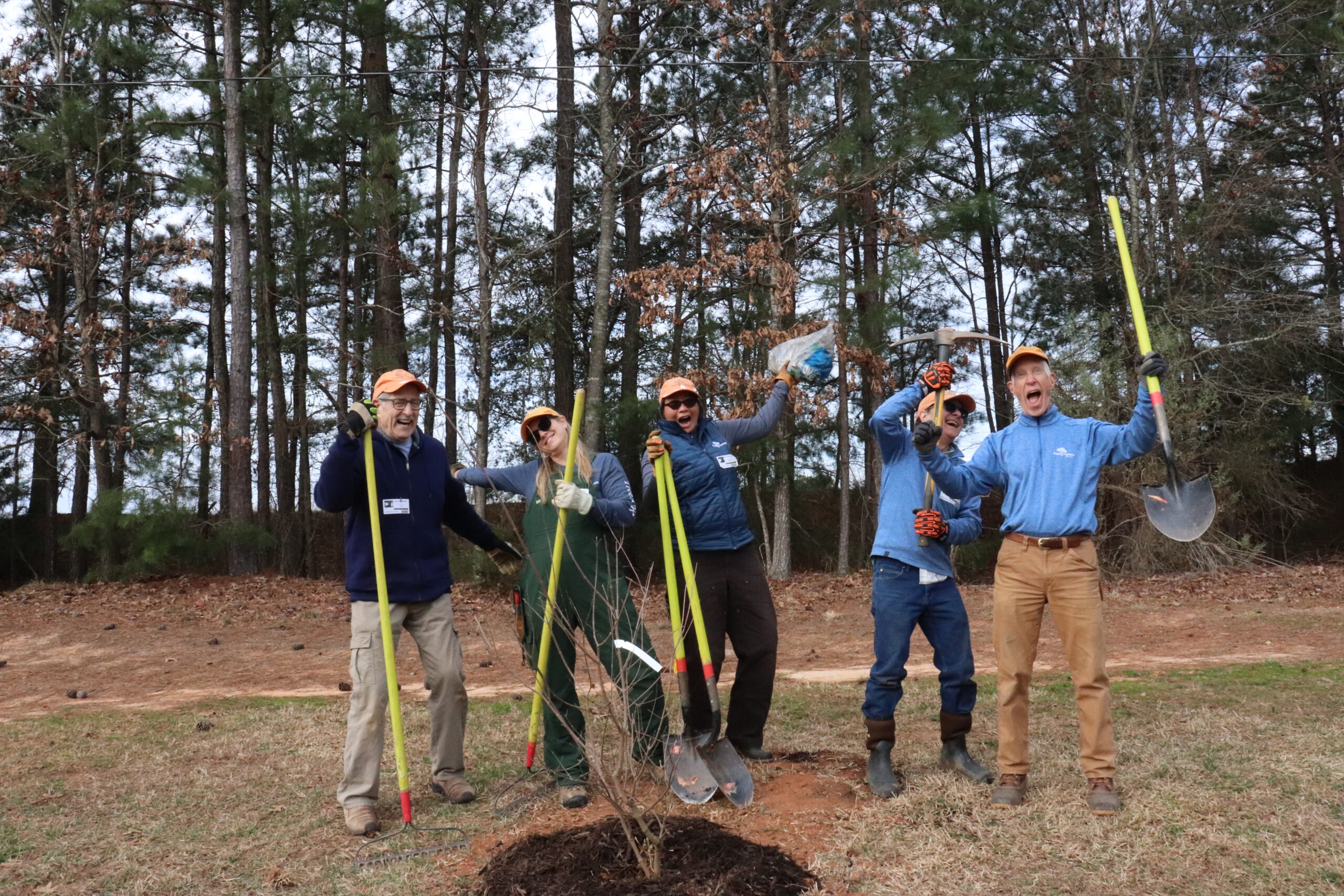 TreesCharlotte | Tree Canopy Conservation | Charlotte NC Nonprofit