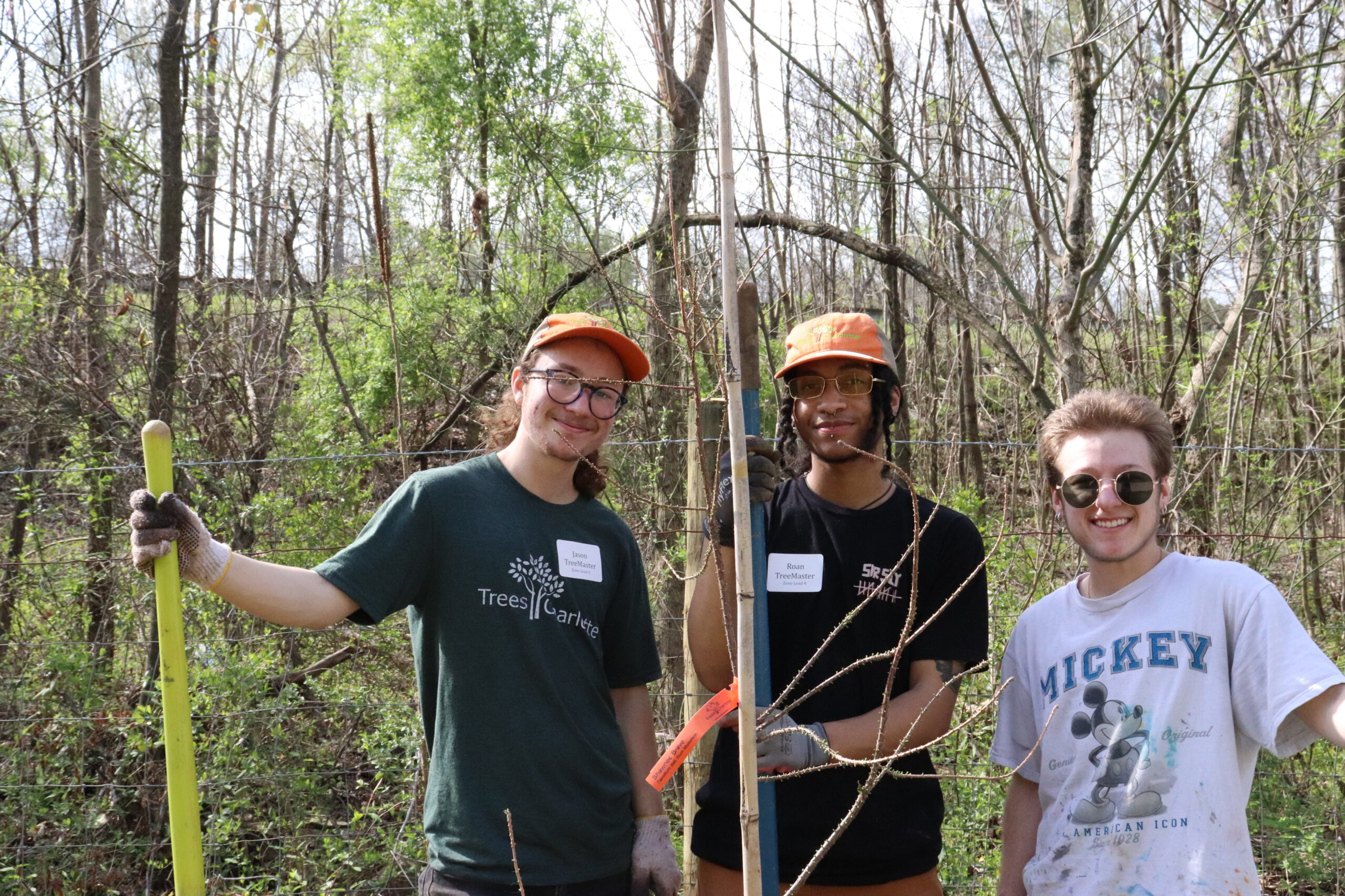 TreesCharlotte | Tree Canopy Conservation | Charlotte NC Nonprofit