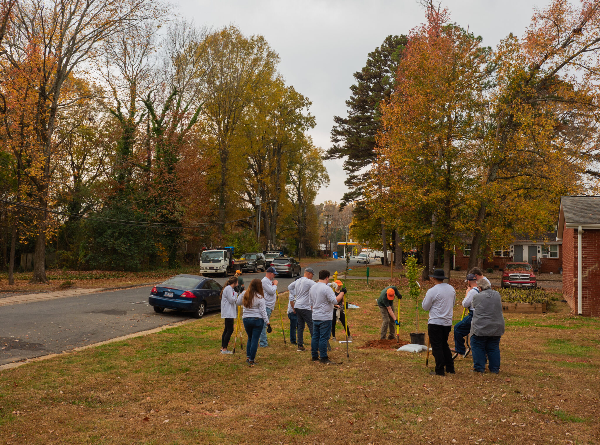 TreesCharlotte | Free Trees for Your Charlotte Neighborhood