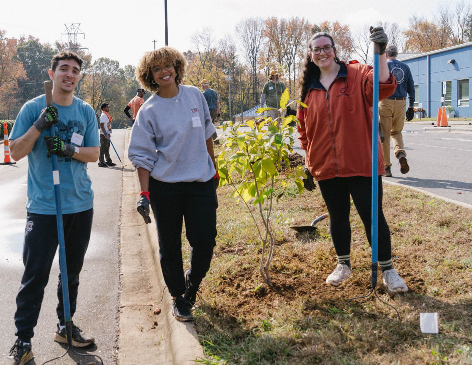 TreesCharlotte | Tree Canopy Conservation | Charlotte NC Nonprofit