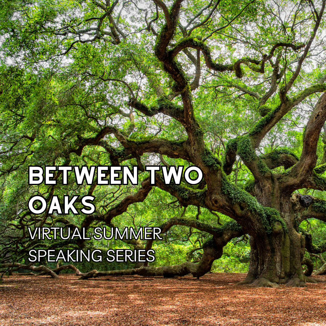 TreesCharlotte | Tree Canopy Conservation | Charlotte NC Nonprofit