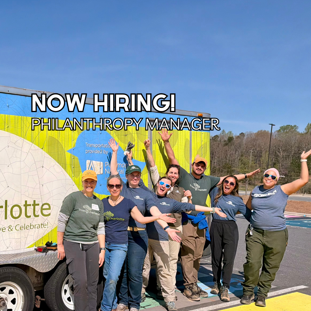 TreesCharlotte | Tree Canopy Conservation | Charlotte NC Nonprofit