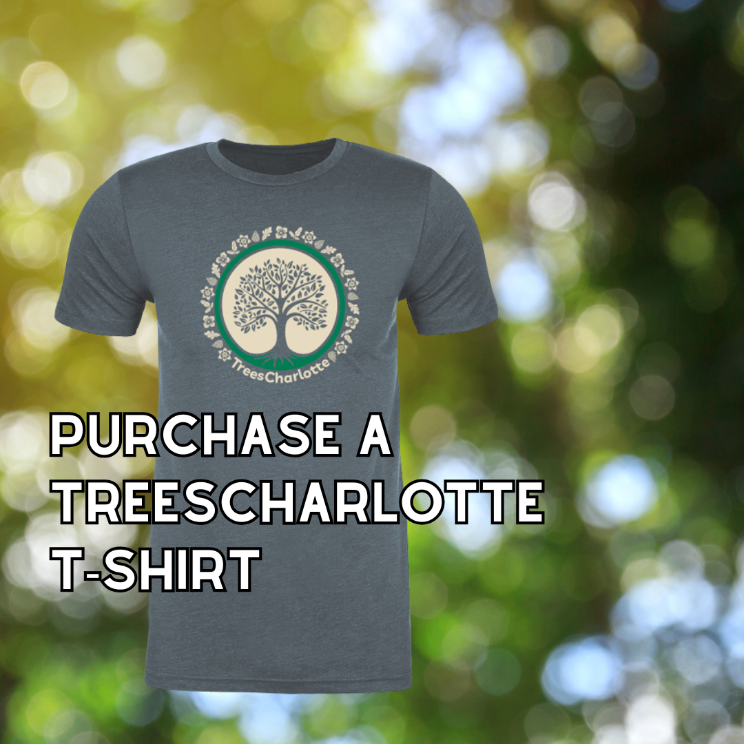 TreesCharlotte | Tree Canopy Conservation | Charlotte NC Nonprofit